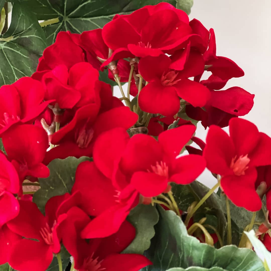 Realistic Large Potted Red Geranium Plant - 16″ T x 5.5″ Diameter