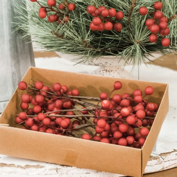 Waterproof Berries Box - Piper Classics