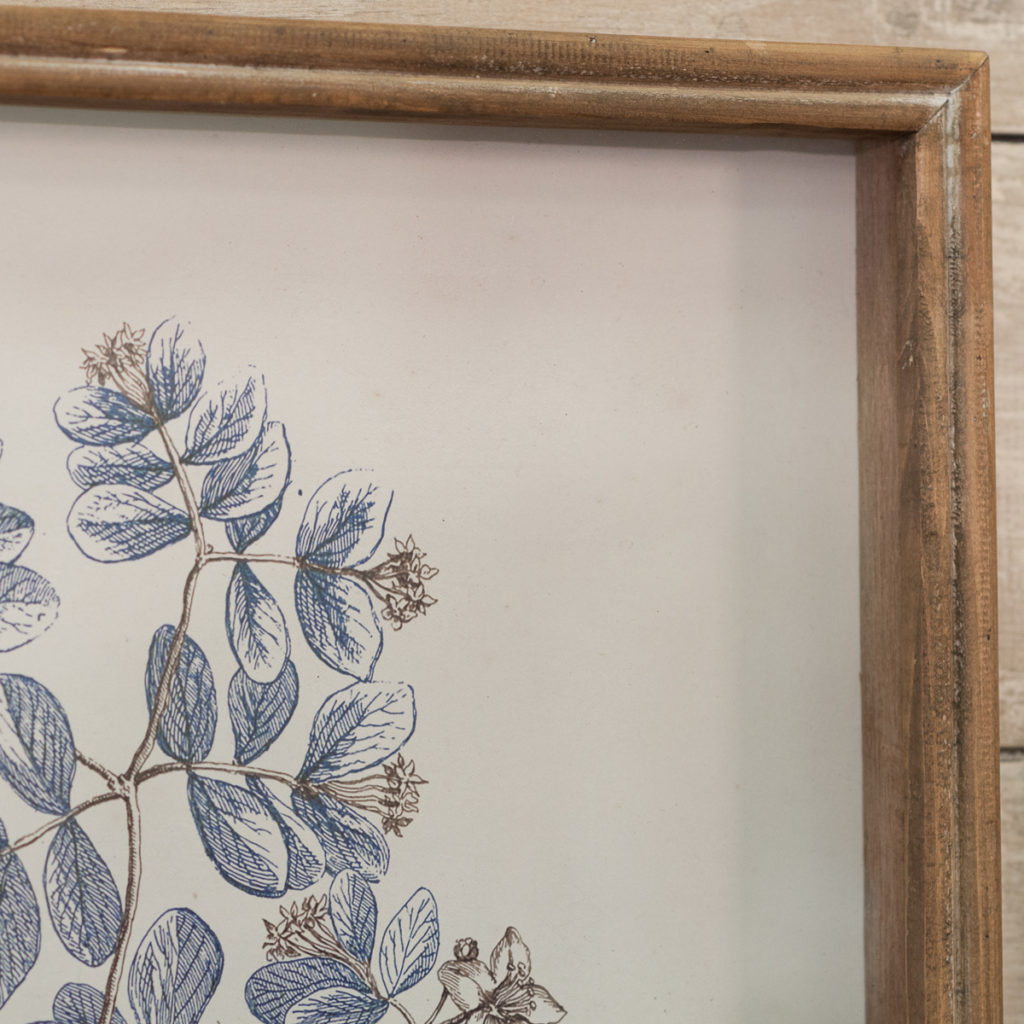 Botanical Framed Prints - Set/2 Assorted - Piper Classics