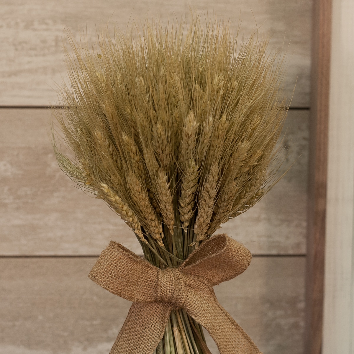 Wheat Bundle