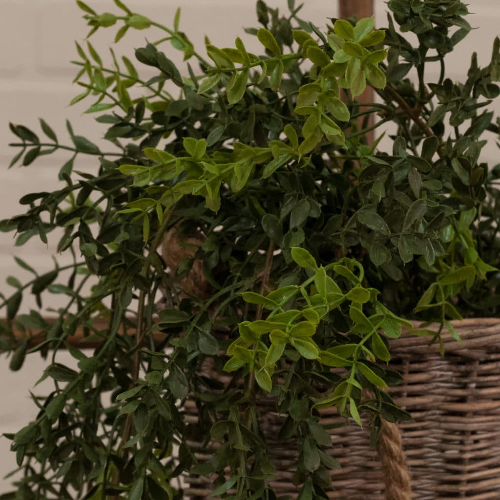 New England Boxwood Hanging Pick - Piper Classics