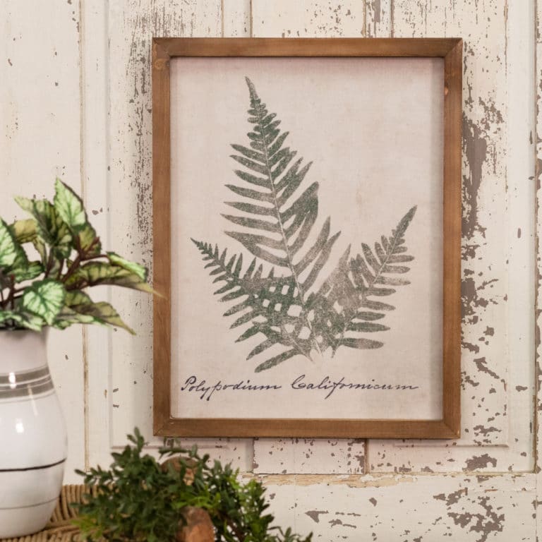 Forest Glen Fern Framed Print - #3 - Piper Classics
