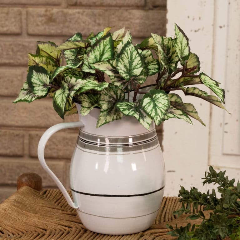 Ruby Begonia Bush - Piper Classics