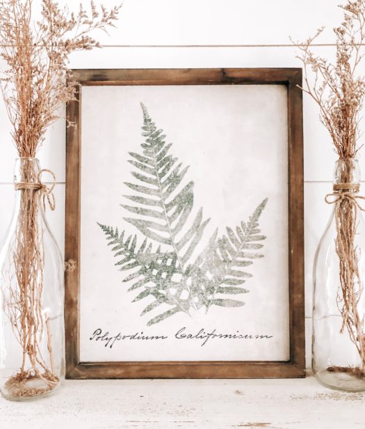 Forest Glen Fern Framed Print - #3 - Piper Classics