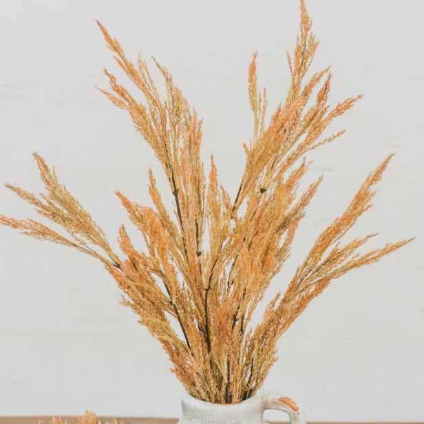 Natural Wheat Bush - Piper Classics