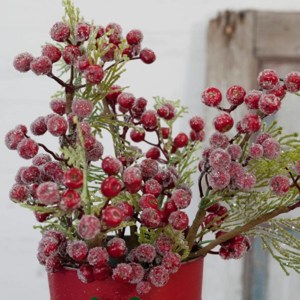 Icy Berry & Cedar Pick - Piper Classics