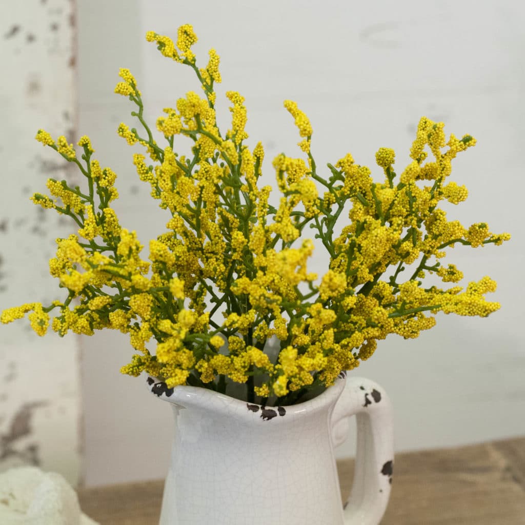 Array Astilbe Bush - Yellow | Spring & Summer Collection