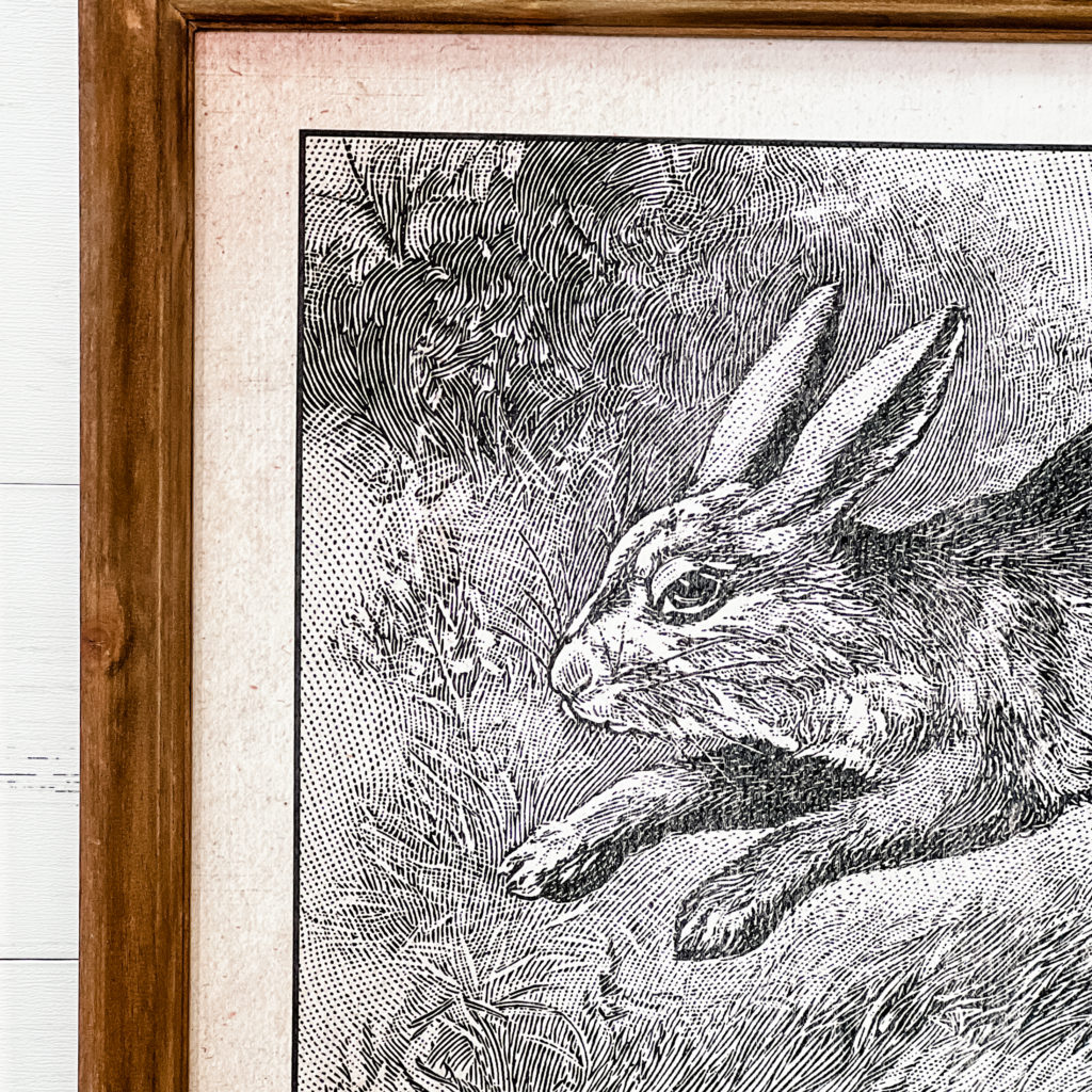 Leaping Rabbit Framed Print - Piper Classics
