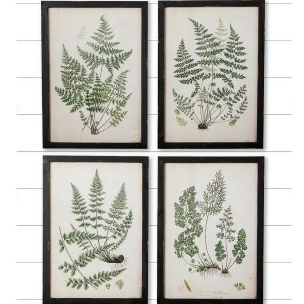 Framed Fern Print -Set/4 Assorted - Piper Classics