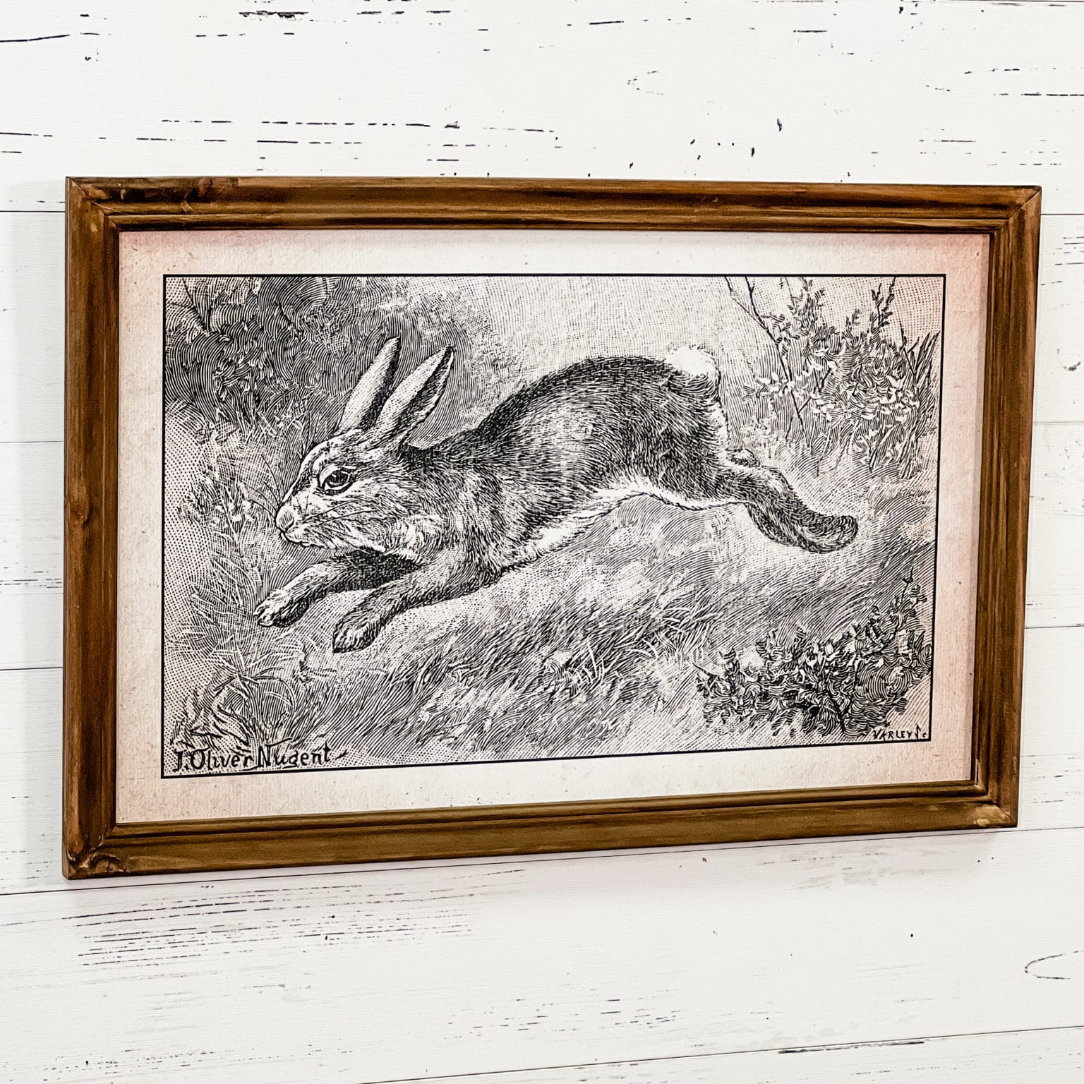 Leaping Rabbit Framed Print - Piper Classics