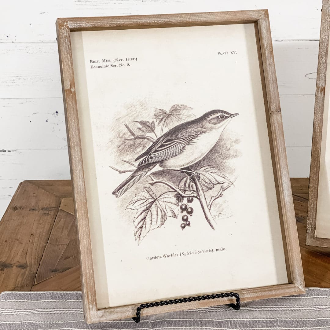 Birds Framed Prints - Set/3 - Piper Classics