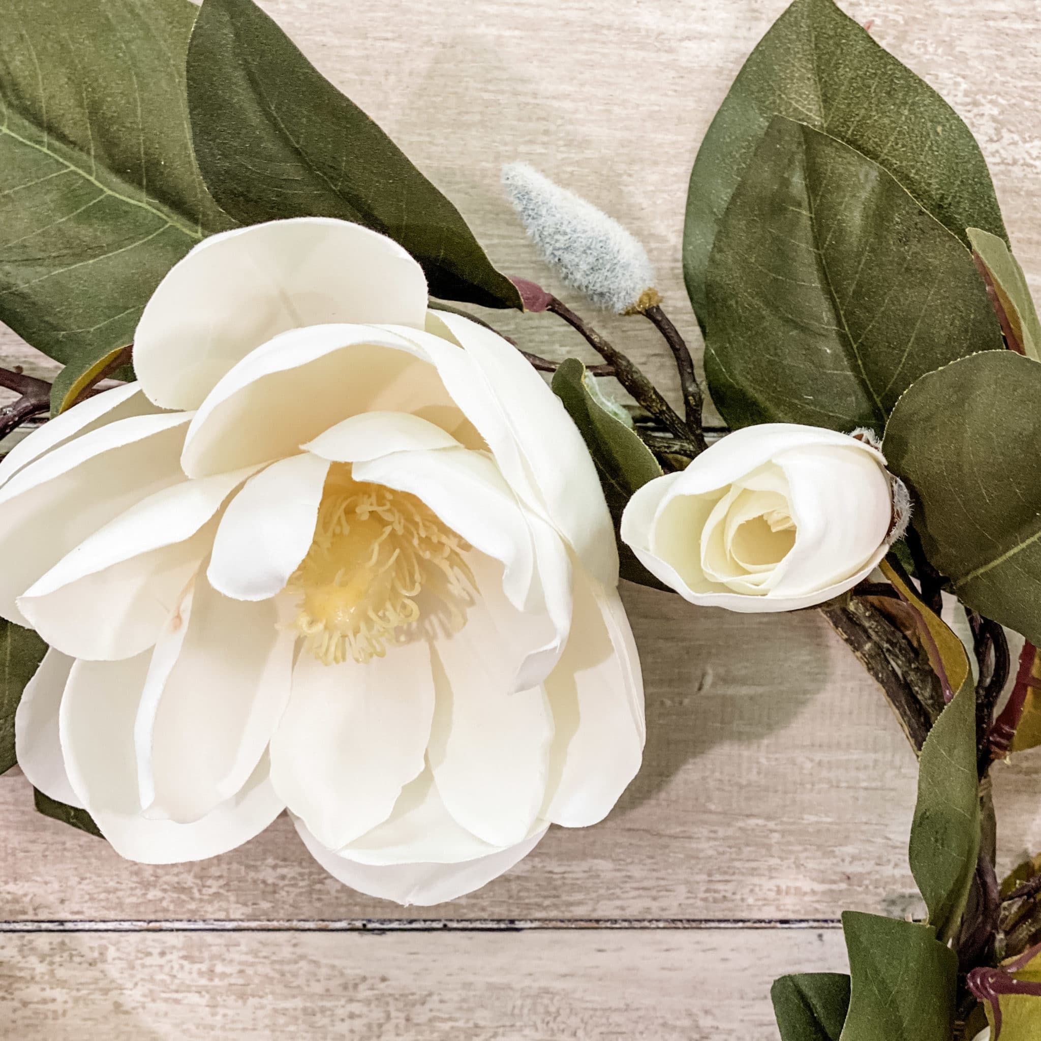 Magnolia Boutonniere