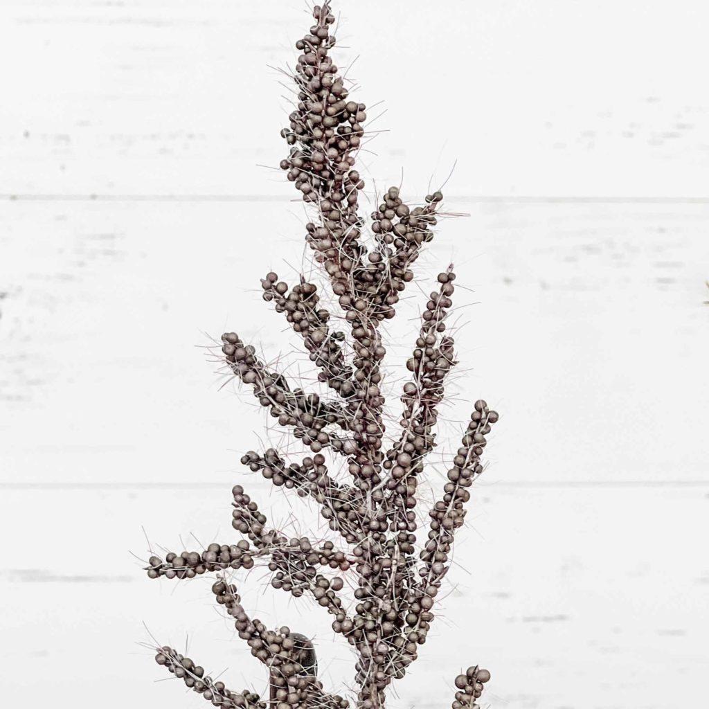 Faux Dried Gray Plume Stem - Piper Classics