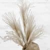 Wheat-Colored Feathery Reed Spray - Piper Classics