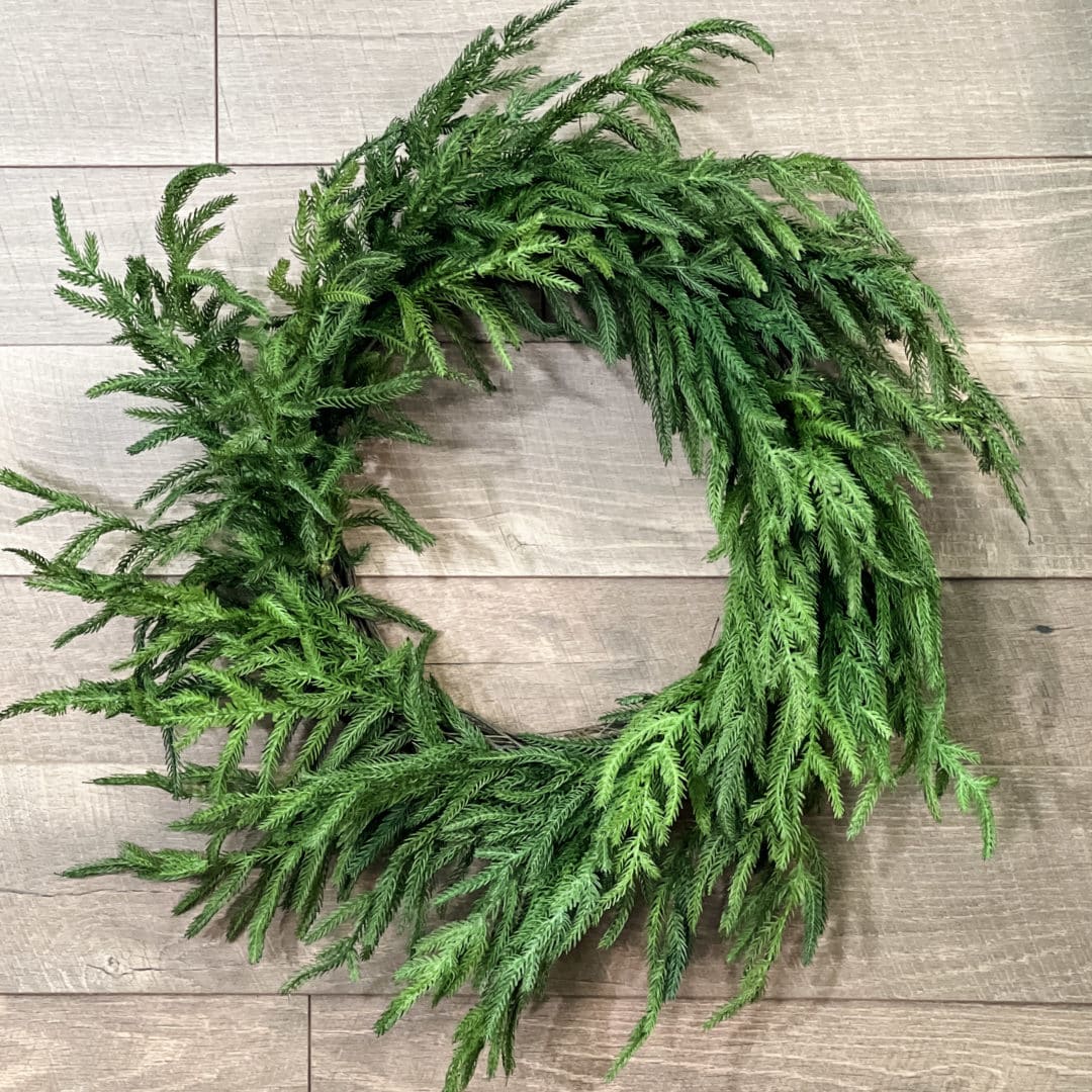 Natural Touch Norfolk Pine Wreath - Piper Classics