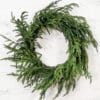 Natural Touch Norfolk Pine Wreath - Piper Classics