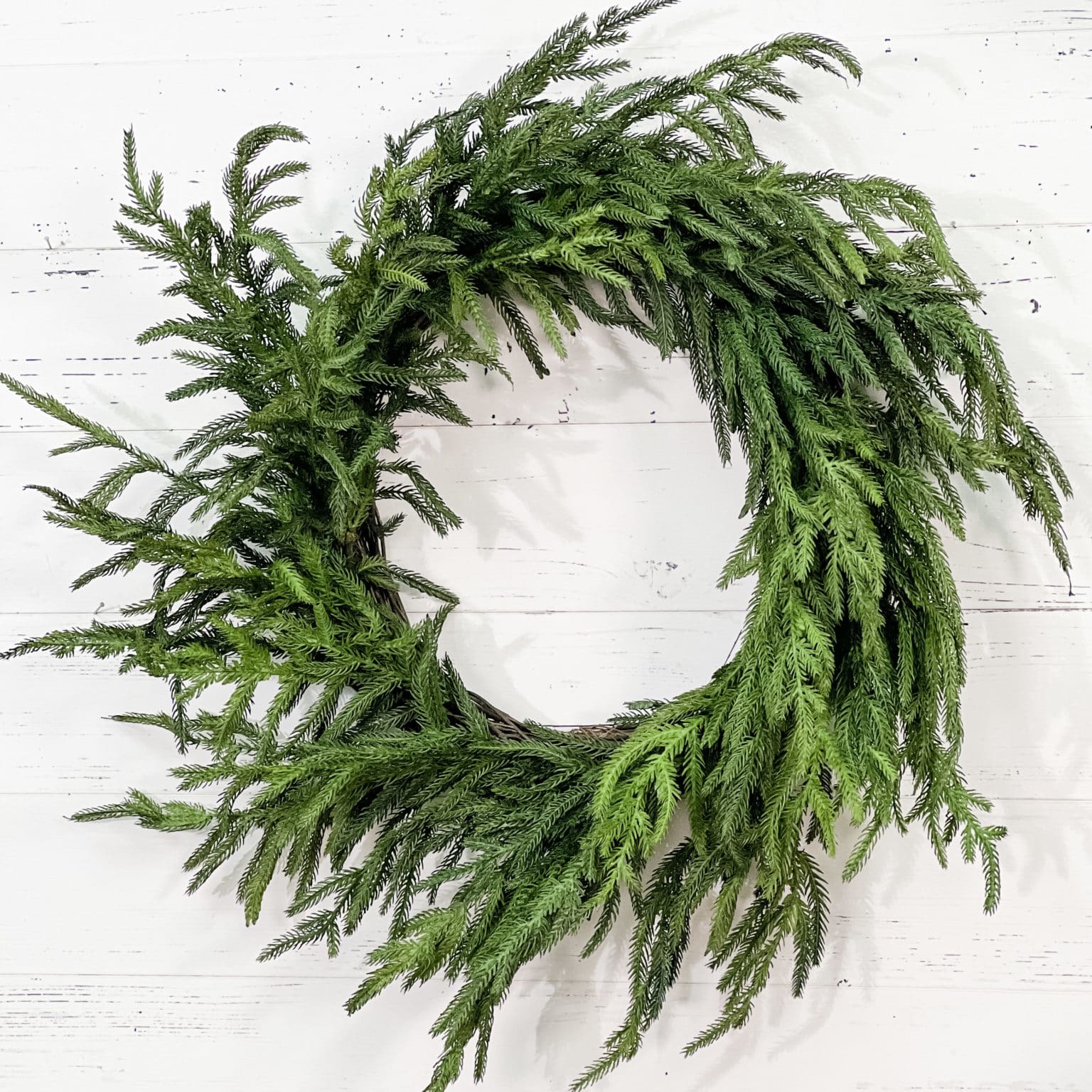 Natural Touch Norfolk Pine Wreath - Piper Classics