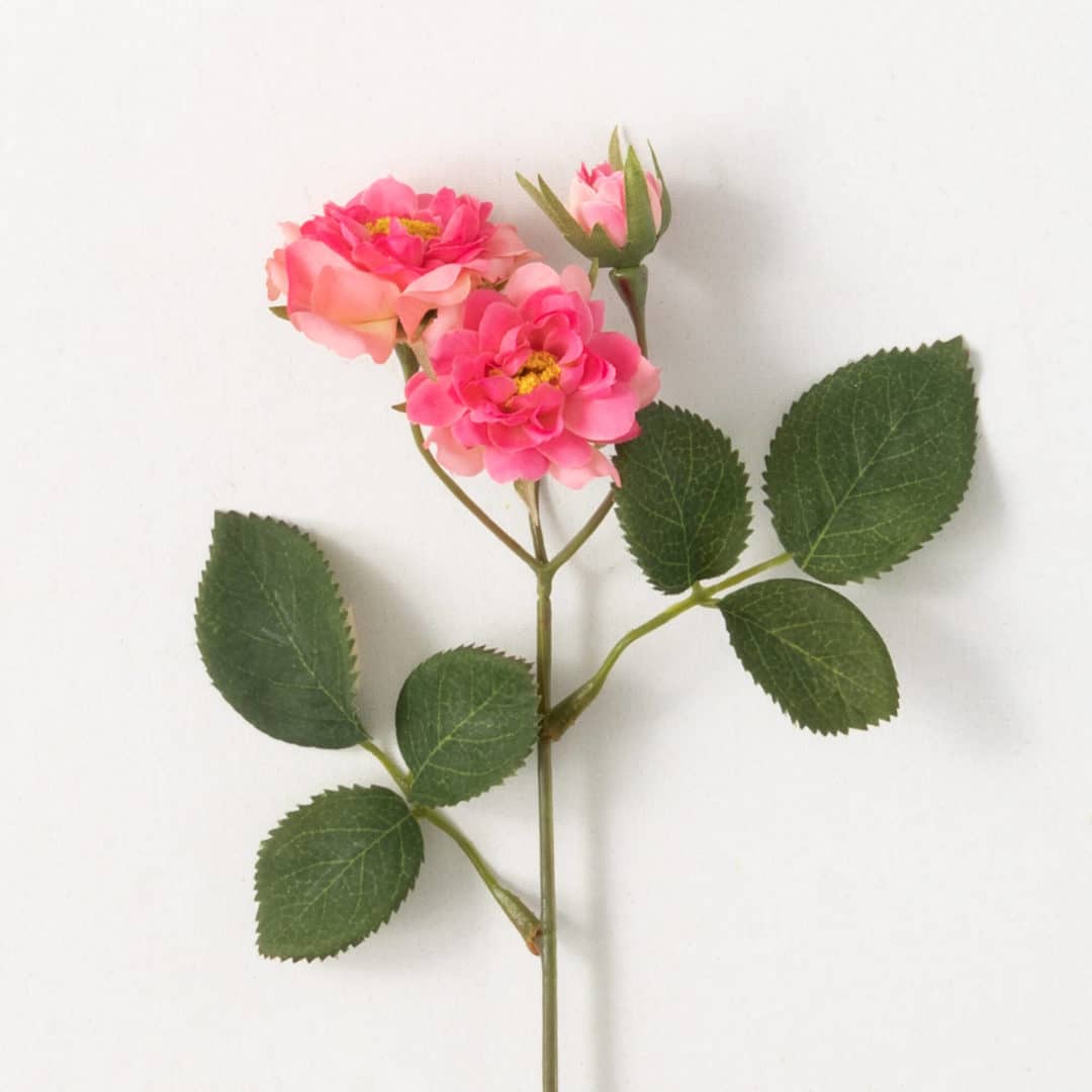 Rose Spray - Wild Pink - Piper Classics