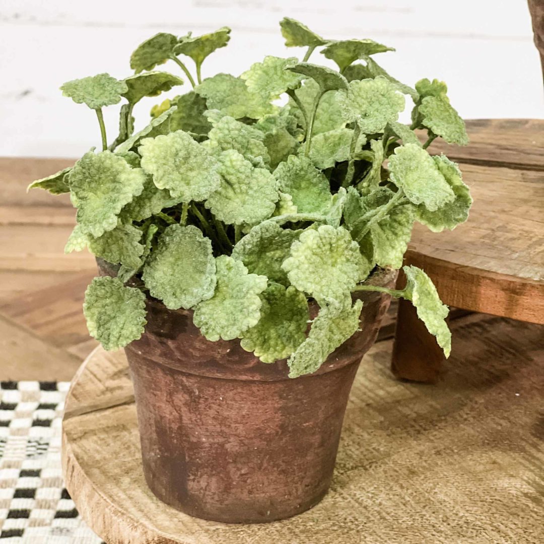 Culinary Herb Pots - Set/3 - Piper Classics