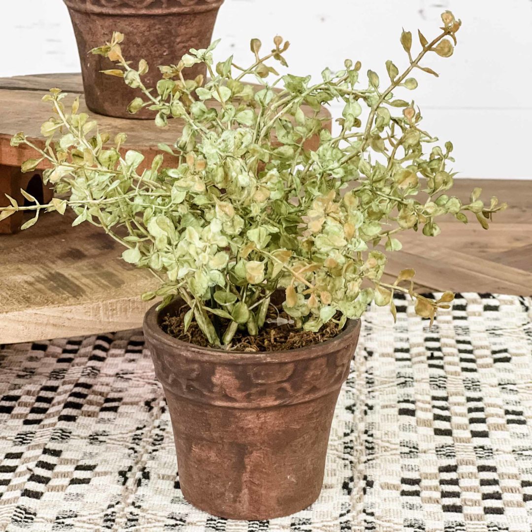 Culinary Herb Pots - Set/3 - Piper Classics