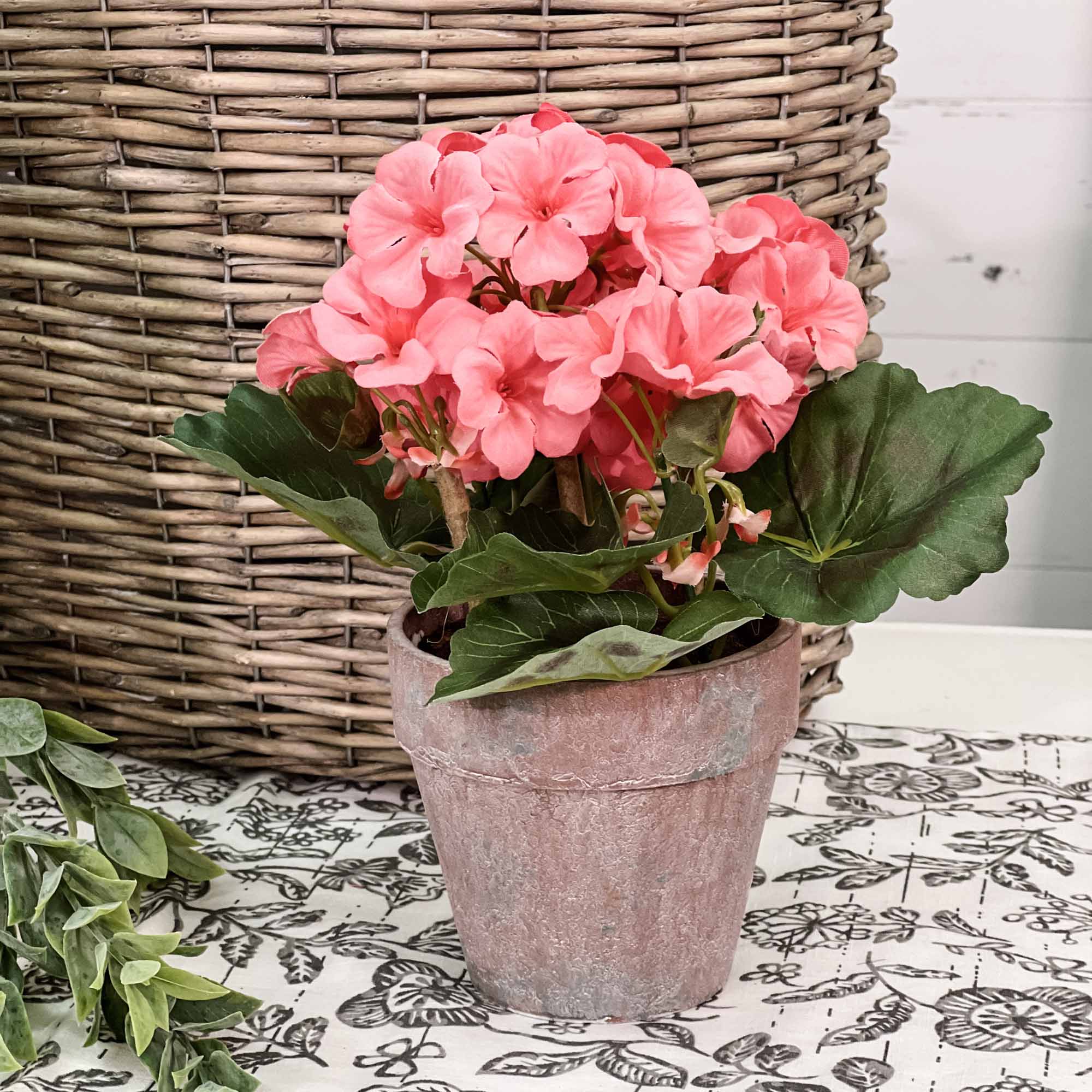 Potted Pink Flowers