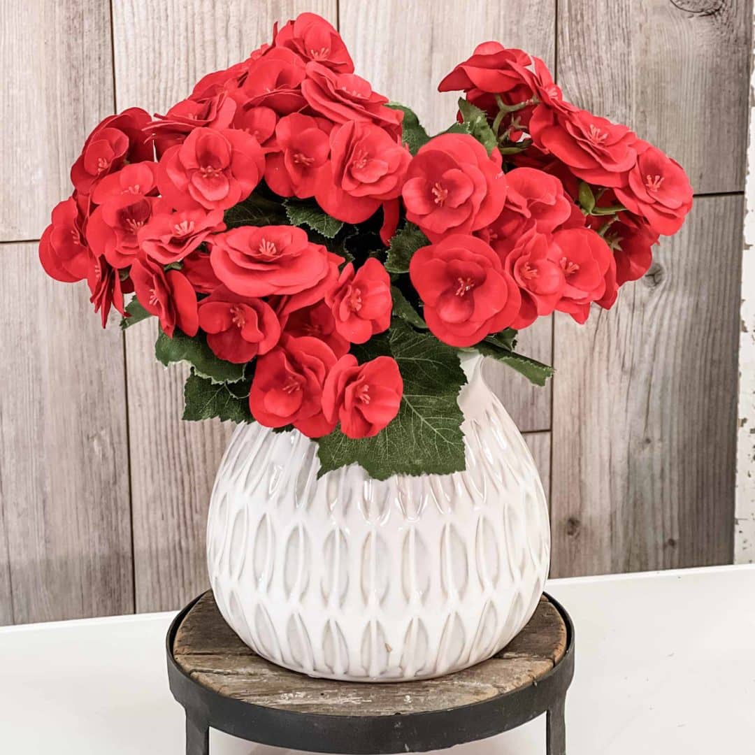 Begonia Bush - Red - Piper Classics