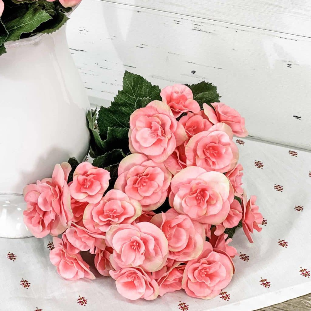 Begonia Bush - Pink - Piper Classics