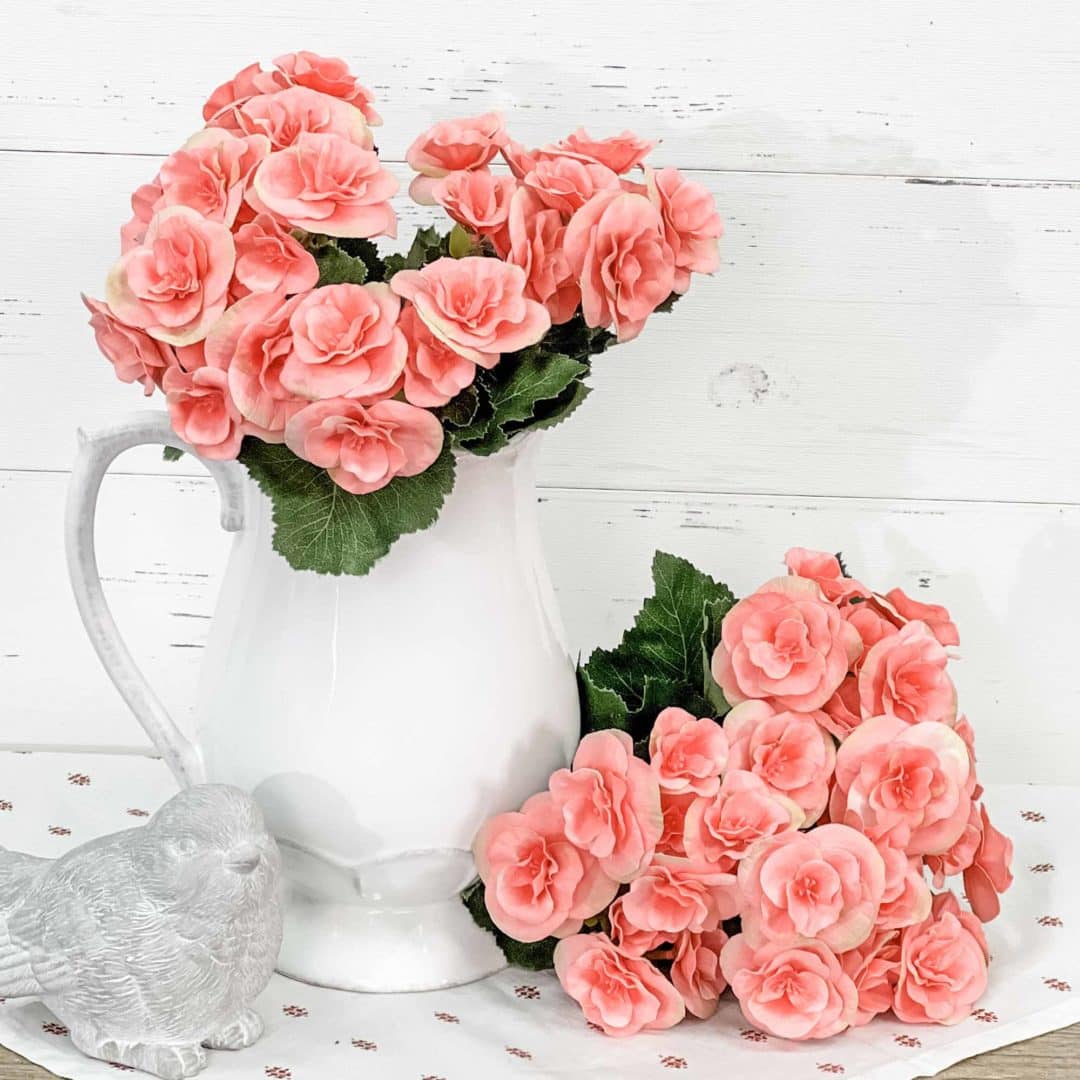 Begonia Bush - Pink - Piper Classics