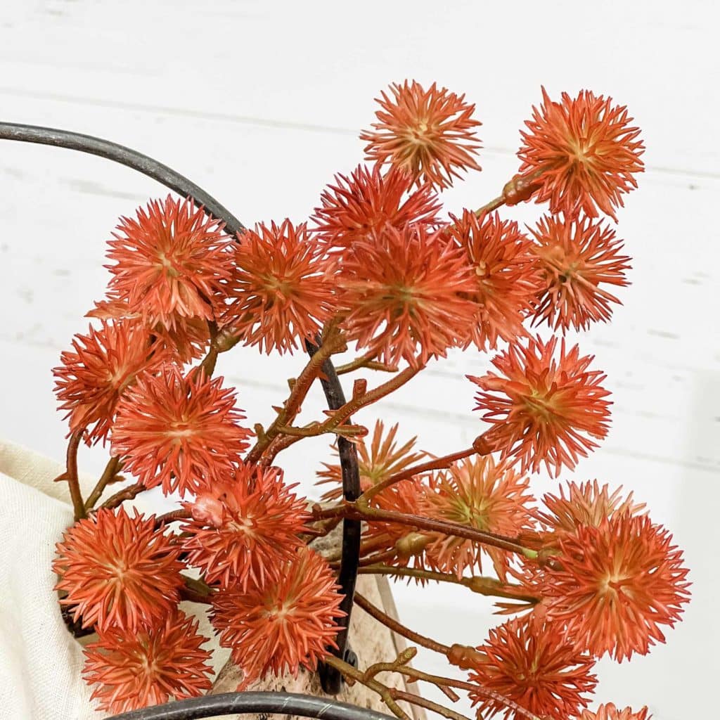 Orange Sycamore Fruit Ball Stem - Piper Classics