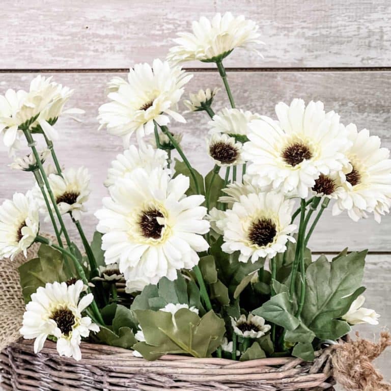 Daisy Bush - Cream - Piper Classics