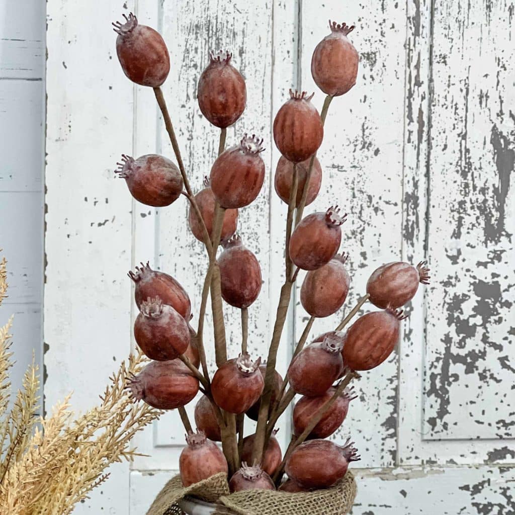 Hickory Pod Spray - Piper Classics