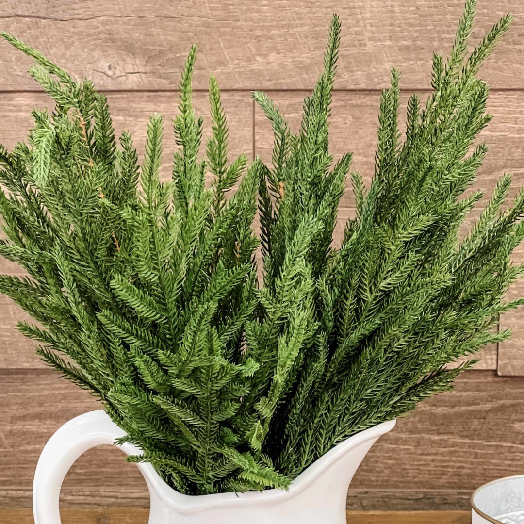 Soft Touch Norfolk Pine Bush - Piper Classics