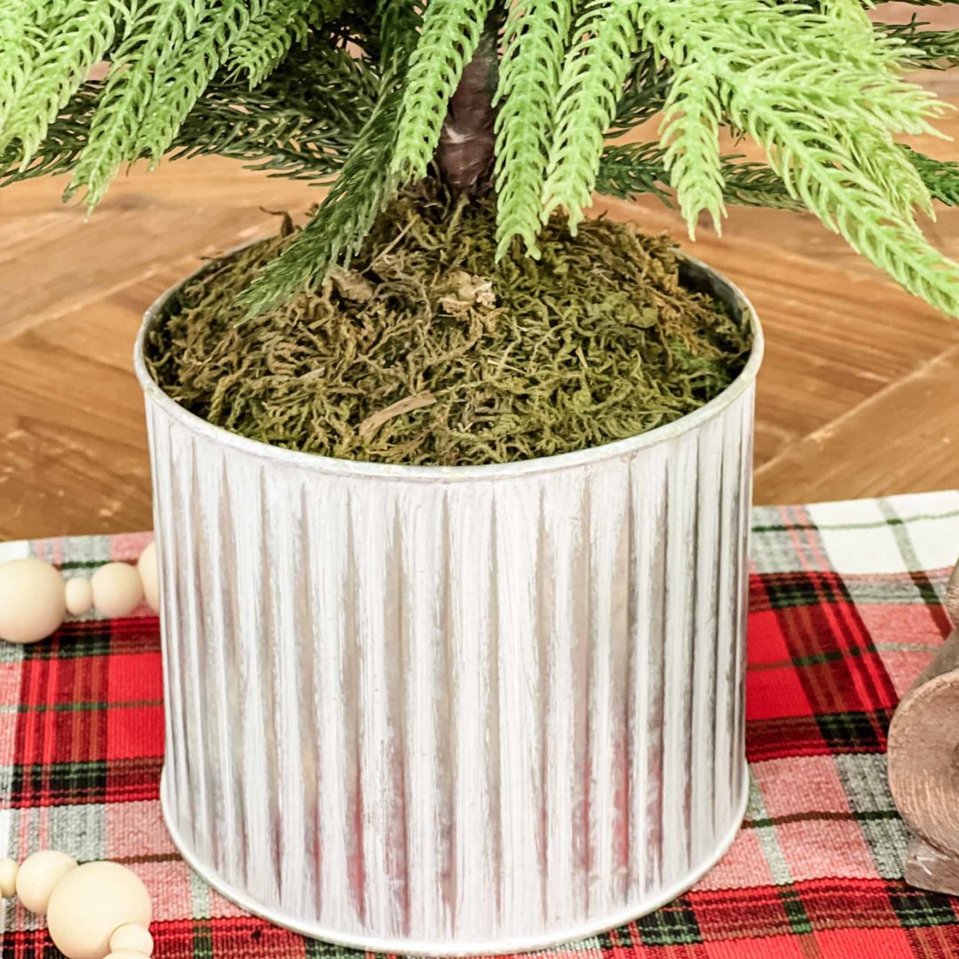 Potted Norfolk Pine Tree Natural Green - Piper Classics