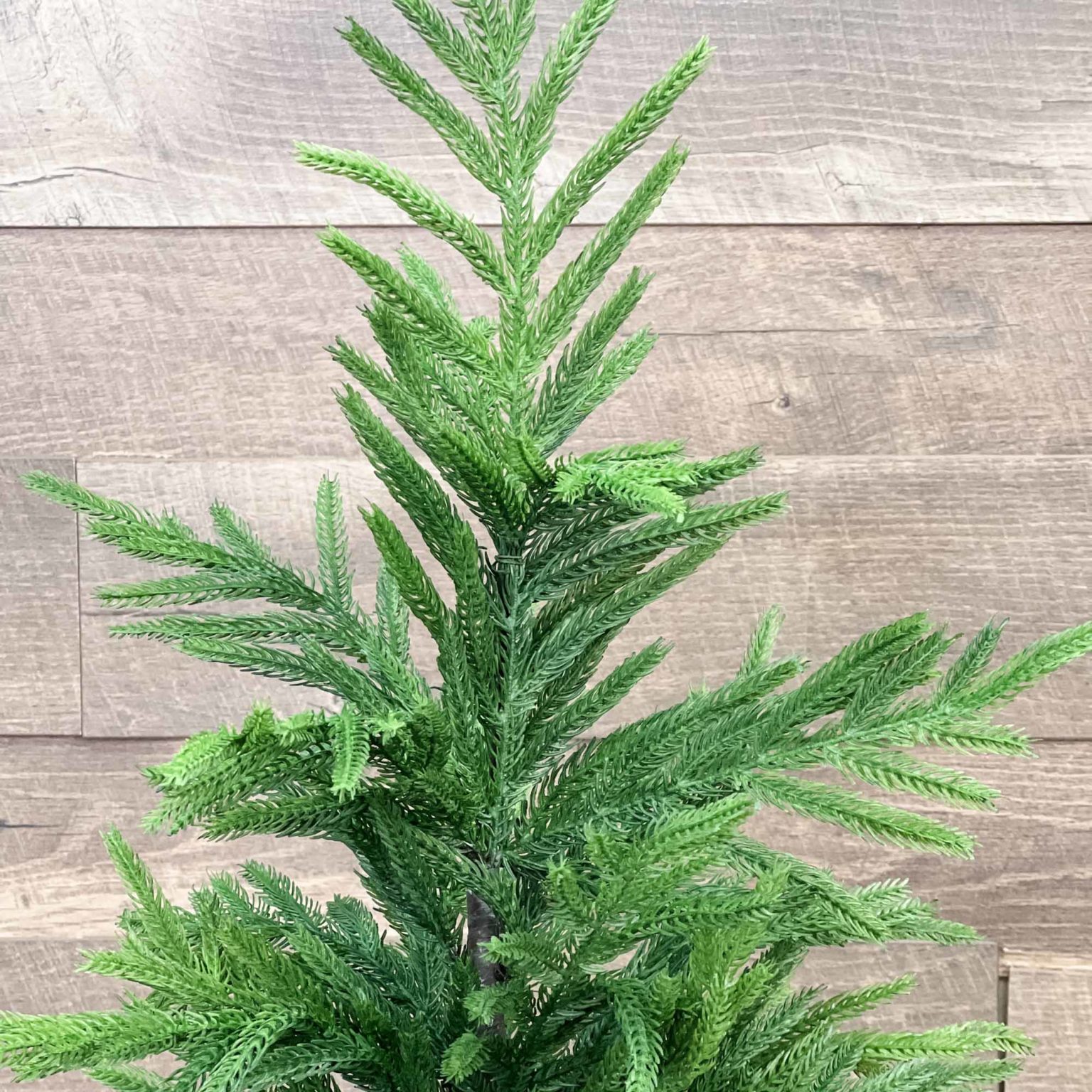 Potted Norfolk Pine Tree Natural Green - Piper Classics