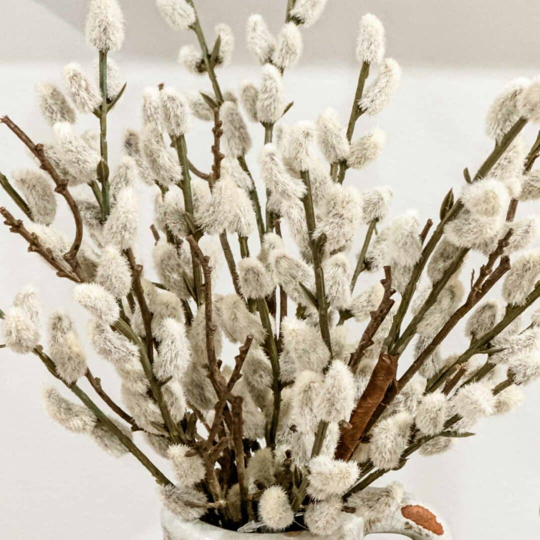 Willow Buds Pick - Piper Classics