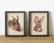 Rabbits Framed Prints - Set/2 Assorted - Piper Classics