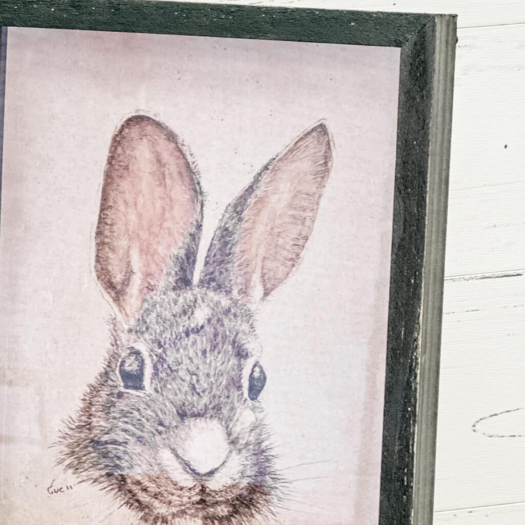 Rabbits Framed Prints - Set/2 Assorted - Piper Classics